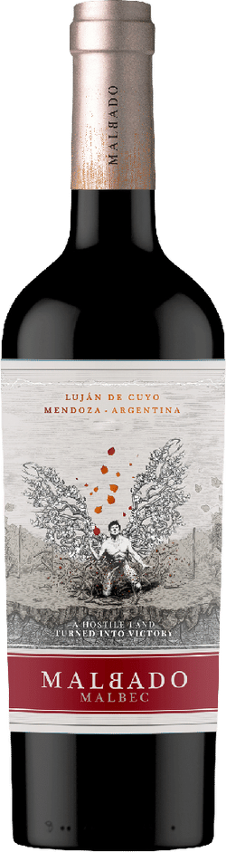 Malbec Wine Guide | Total Wine & More | Total Wine & More