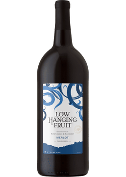 Merlot Wine Guide | Total Wine & More