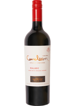 Malbec vs. Merlot Tasting Guide | Total Wine & More