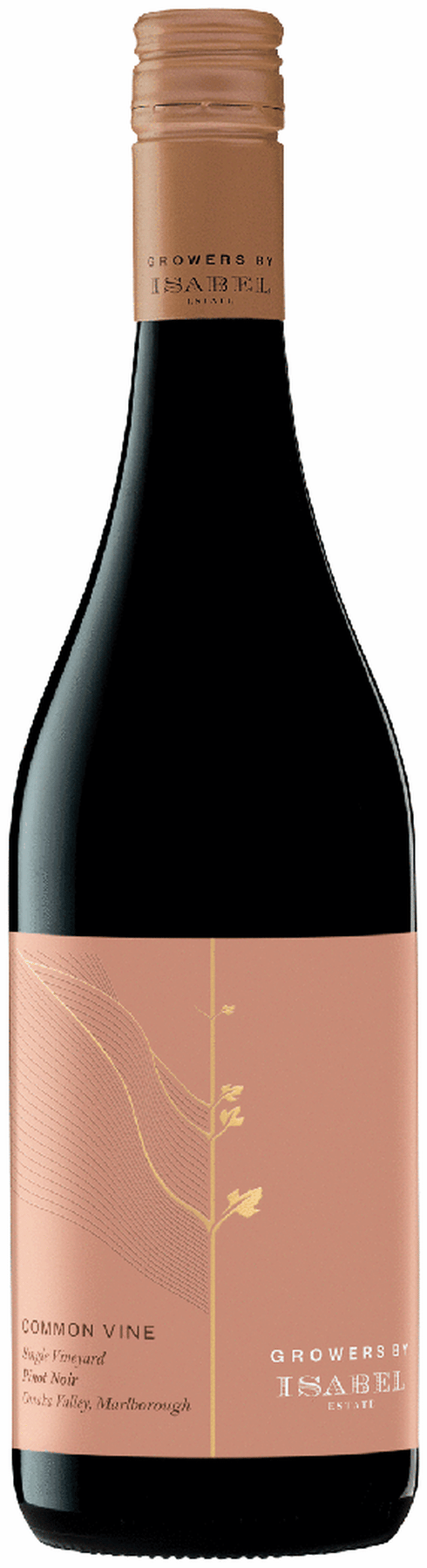 Common Vine Raupo Vineyard Omaka Valley Pinot Noir | Total Wine & More