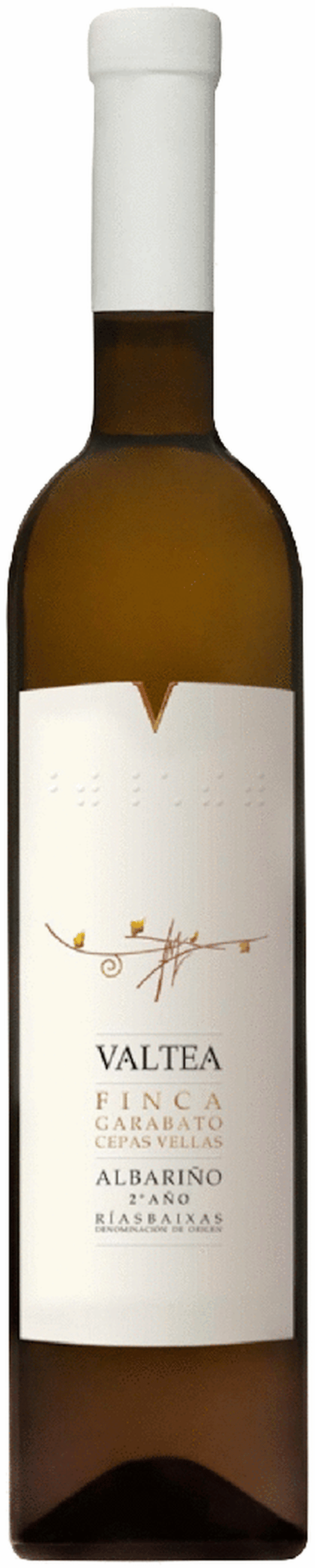 Valtea Finca Garabato Cepas Vellas | Total Wine & More