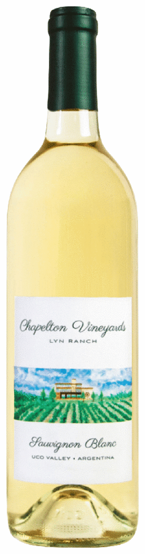 Chapelton Vineyards Sauvignon Blanc | Total Wine & More