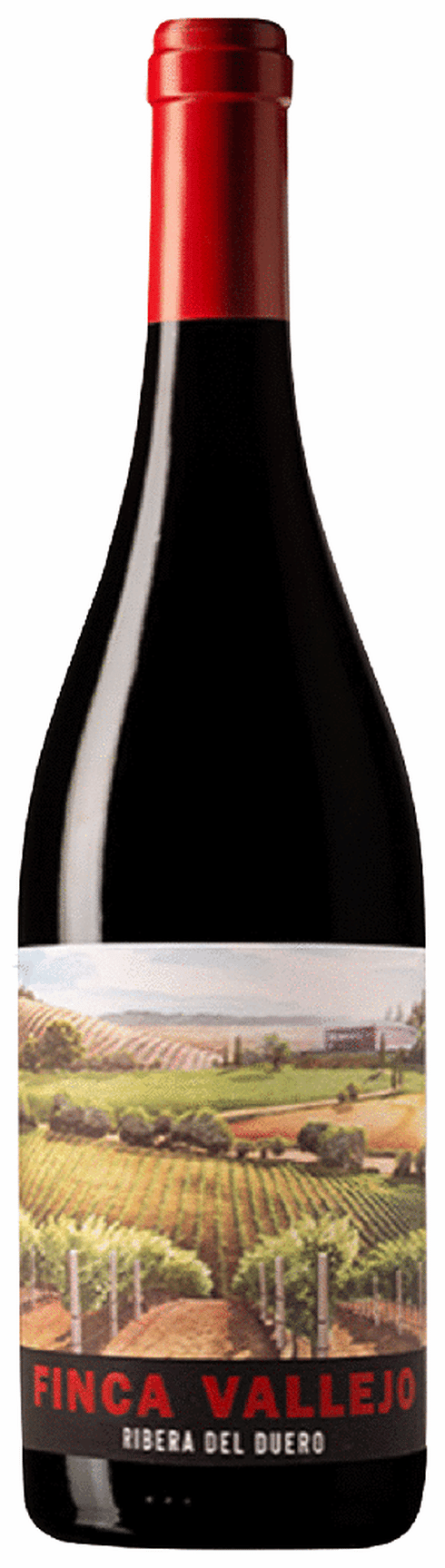 Finca Vallejo Ribera del Duero Roble | Total Wine & More