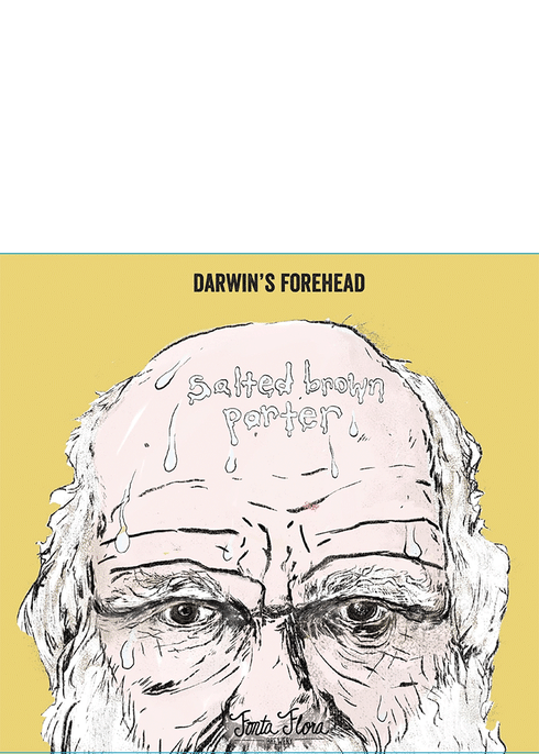 Fonta Flora Darwin's Forehead Salted Brown Porter | Total Wine & More