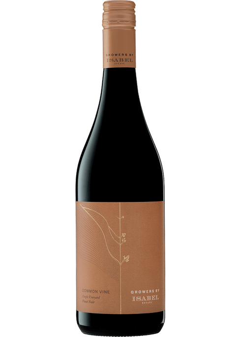 Common Vine Raupo Vineyard Omaka Valley Pinot Noir | Total Wine & More