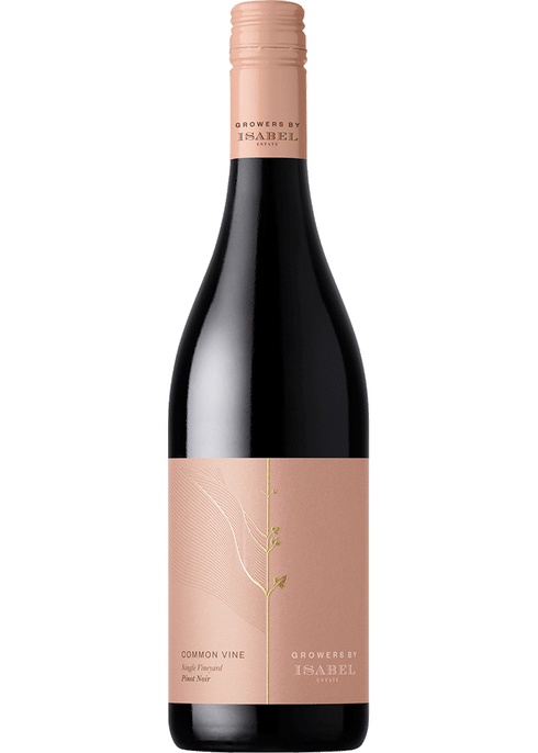 Common Vine Raupo Vineyard Omaka Valley Pinot Noir | Total Wine & More