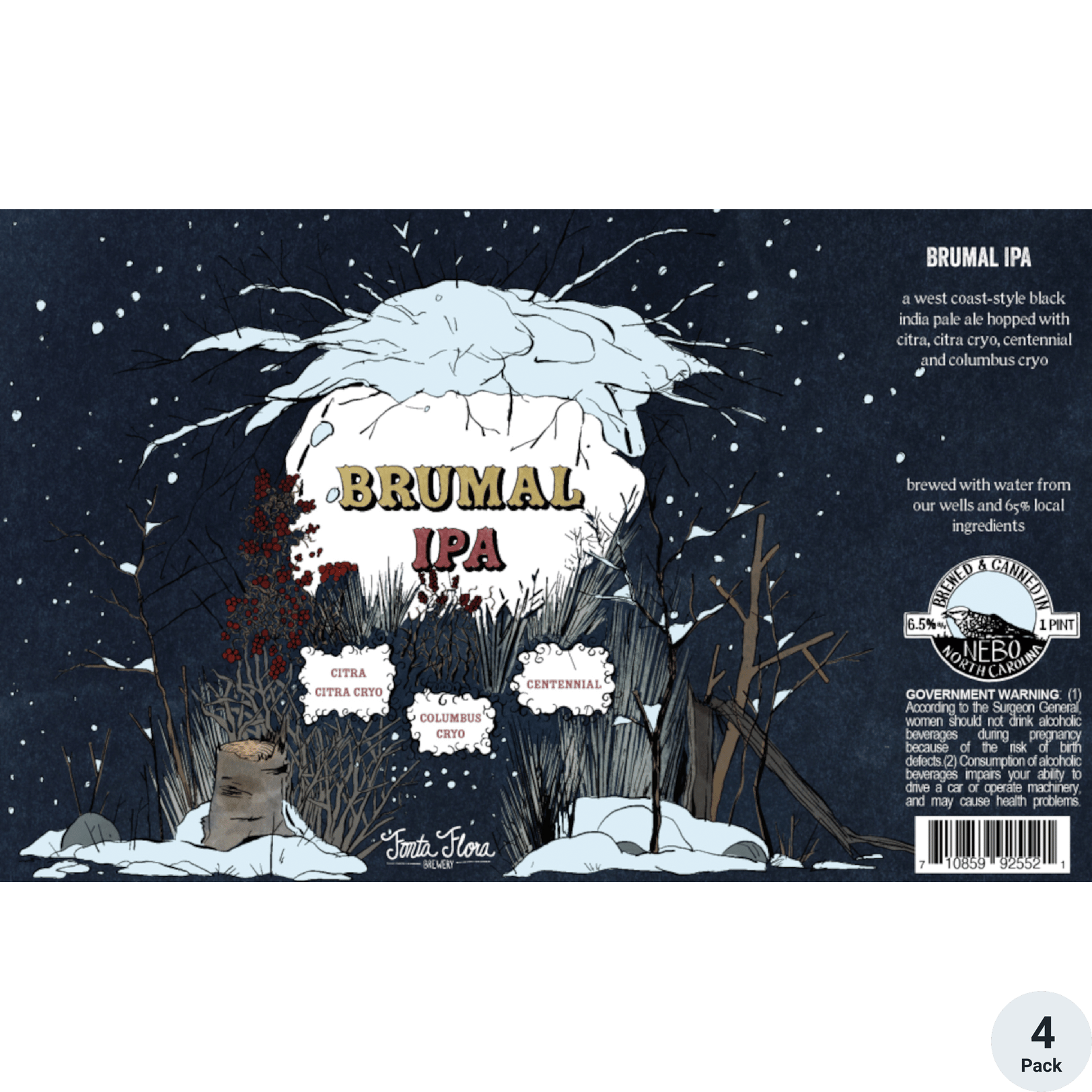 Fonta Flora Brumal IPA | Total Wine & More