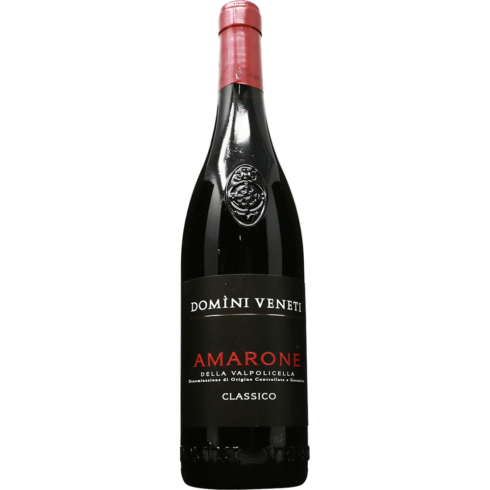 Domini Veneti Amarone della Valpolicella Classico DOCG | Total Wine & More