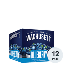 Blueberry Beer | Total Wine & More