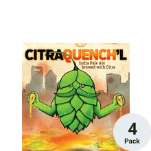 Heist Ale | Total Wine & More