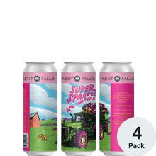 Kent Falls Ale | Total Wine & More