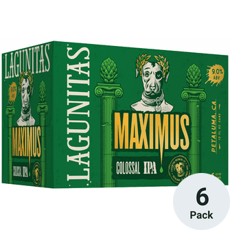 Shop Lagunitas IPA | Total Wine & More