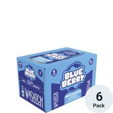 Blueberry Beer | Total Wine & More