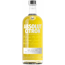Shop The Types Of Absolut Vodka | Total Wine & More