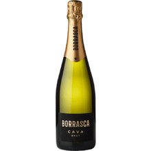Brut Cava - Buy Champagne & Sparkling Wine Online | Total Wine & More