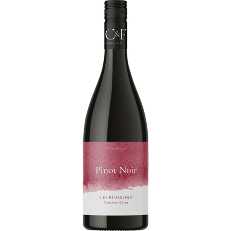 Highly Rated Wines Under $20 | Total Wine & More