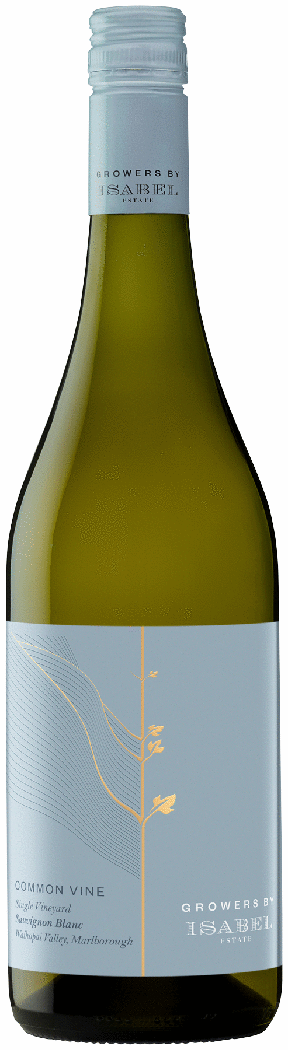 Common Vine - Wine | Total Wine & More