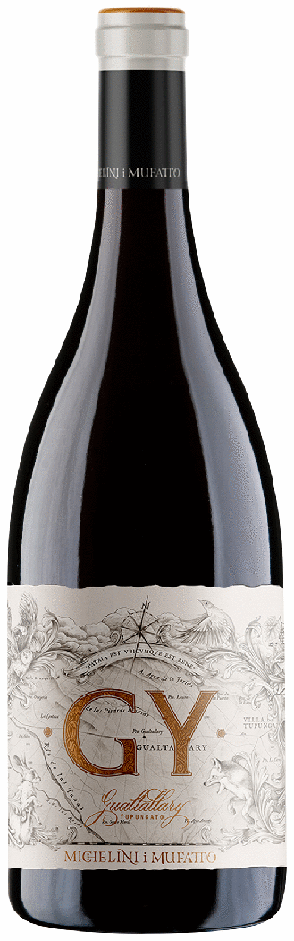Michelini i Muffato - Wine | Total Wine & More