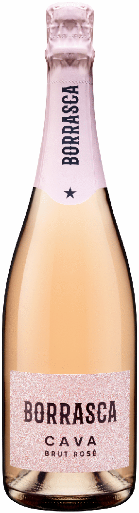 Cava Champagne & Sparkling Wine | Total Wine & More