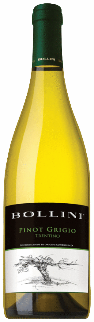 Bollini - Wine | Total Wine & More