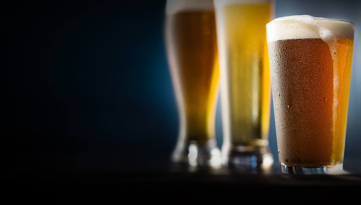 Beer Guide Ale | Total Wine & More