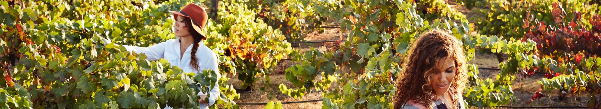 McBride Sisters Wine Collection | Total Wine & More