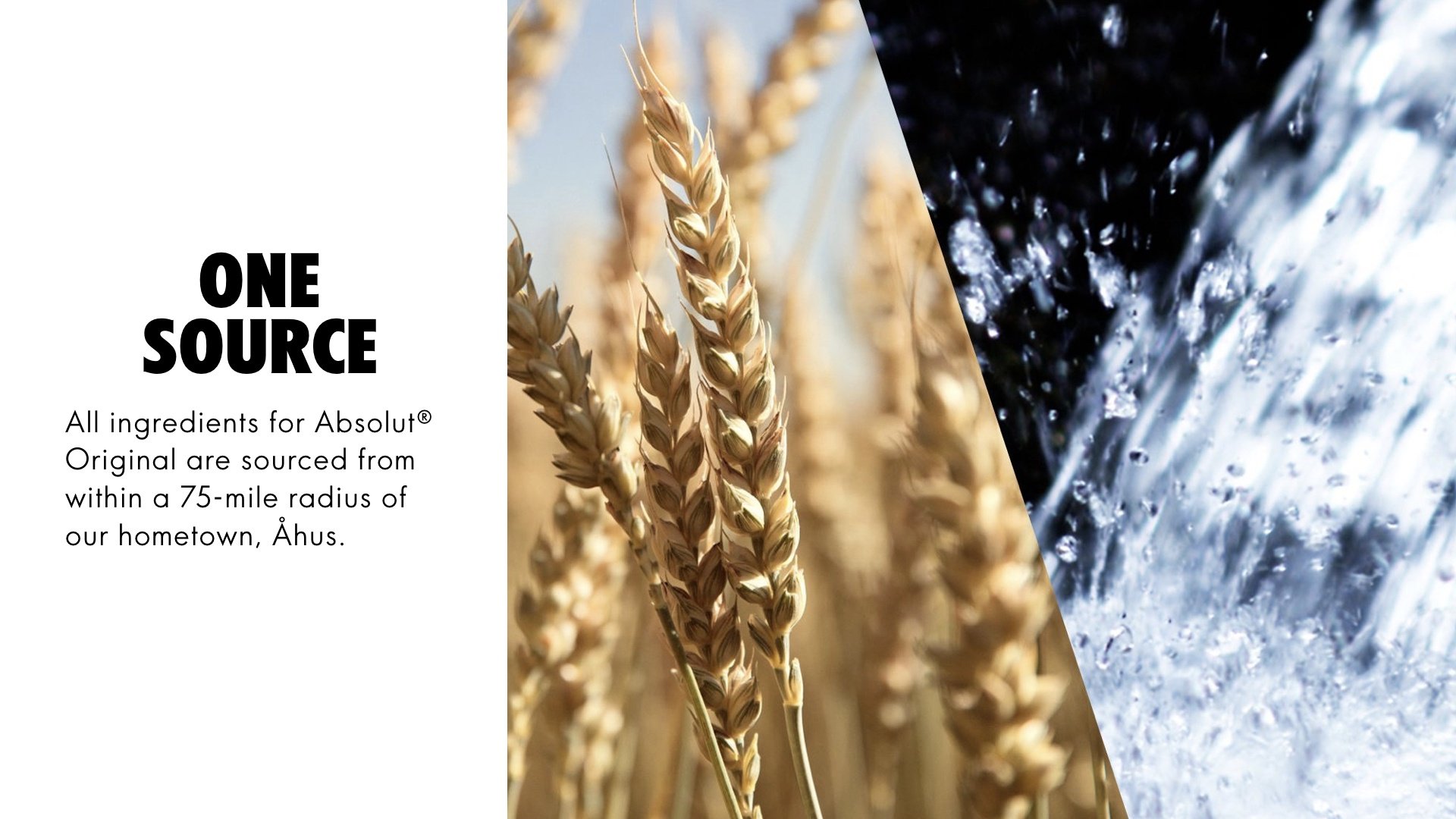 Absolut Brands | Total Wine & More