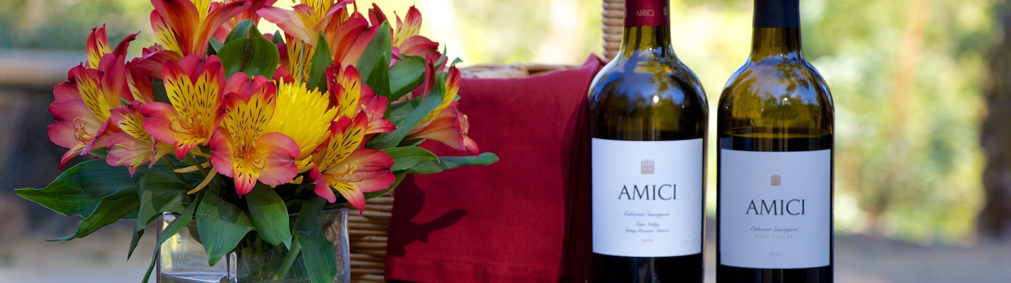 Amici, Napa Valley Wine | Total Wine & More