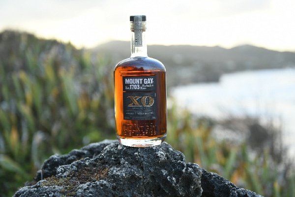 Mount Gay Rum | Total Wine & More