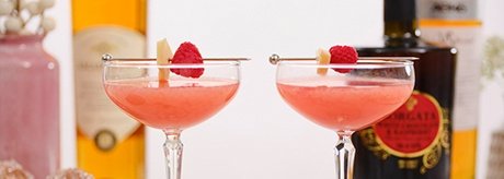 Raspberry Spice & Everything Nice Curated Collection | Total Wine & More