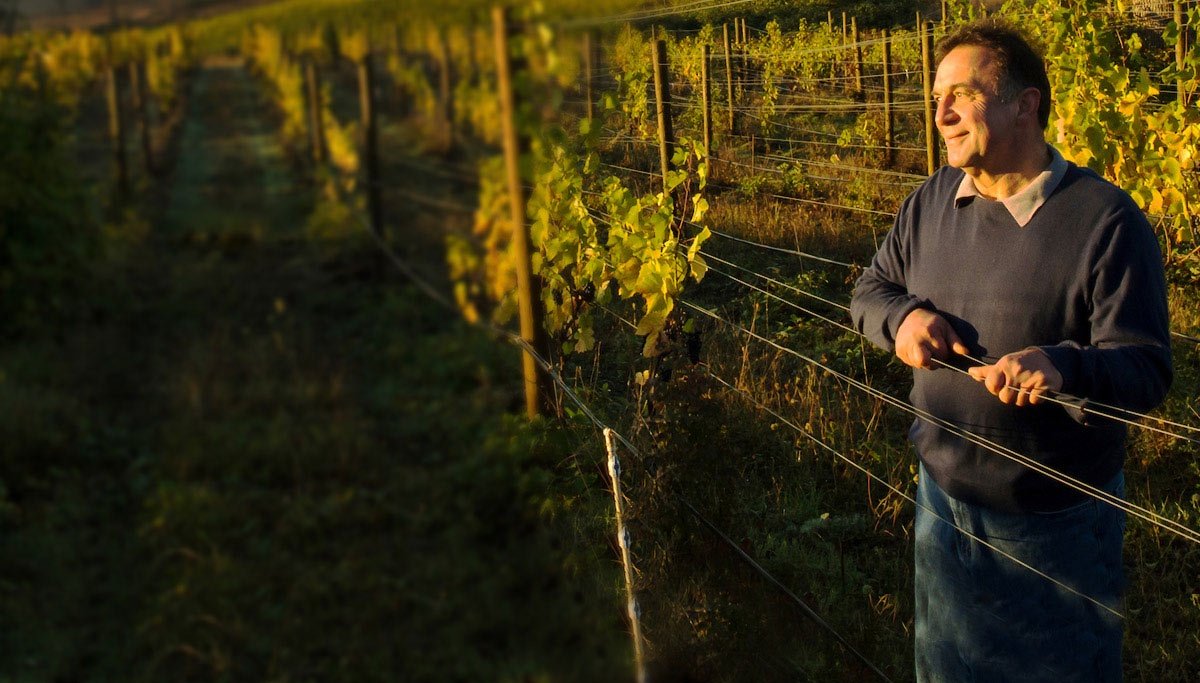 Maysara Wine | Total Wine & More