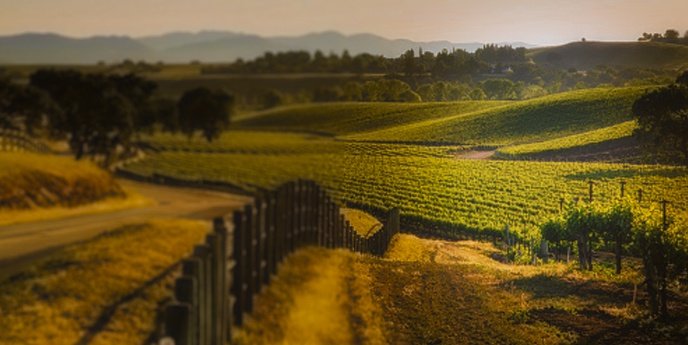 Verada - Wine | Total Wine & More