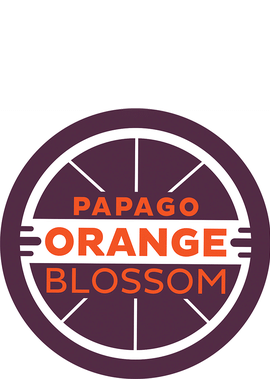 Papago - Beer | Total Wine & More