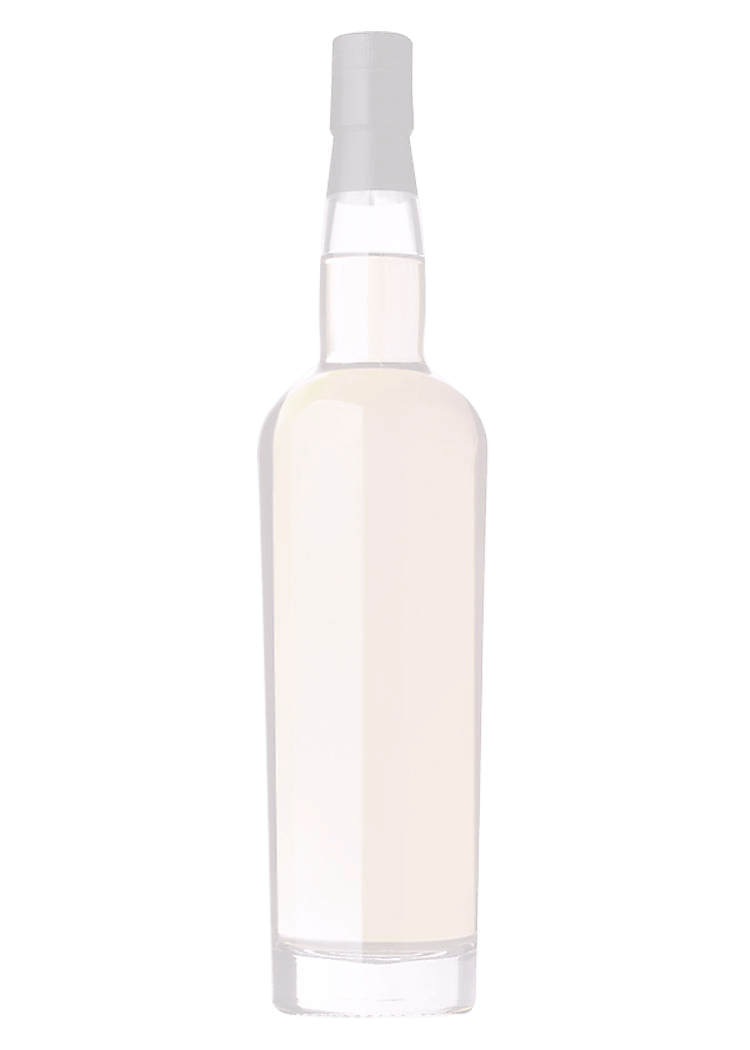 RIKI Lemon & Lime Vodka Soda | Total Wine & More