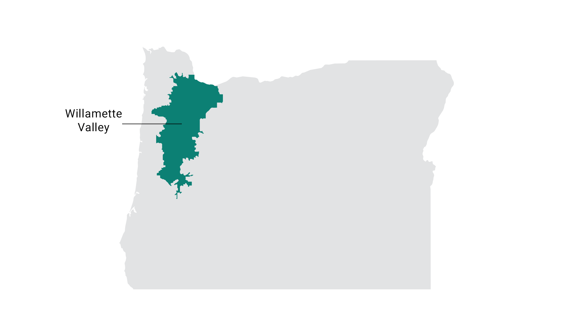 Pinot Noir Wine Guide | Total Wine & More