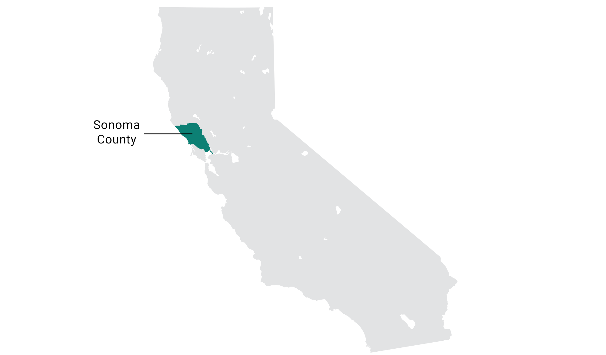 Pinot Noir Wine Guide | Total Wine & More