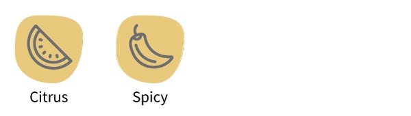 Types of Tequila – Taste, Drink, and Pairing Guide | Total Wine & More ...