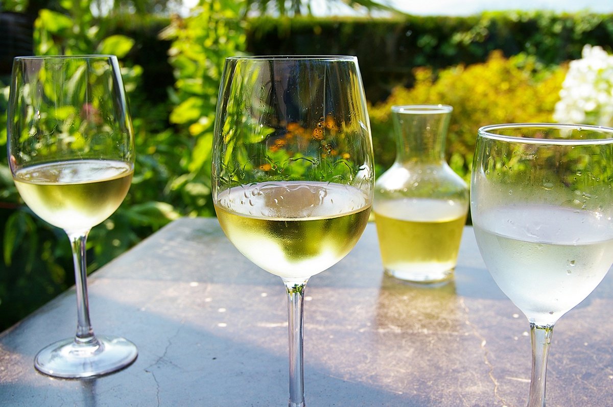 Pinot Grigio vs Pinot Gris Wine Guide | Total Wine & More
