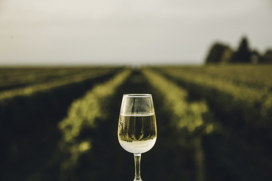 What is Ice Wine? Your Complete Guide to Icewine/Eiswein | Total Wine ...