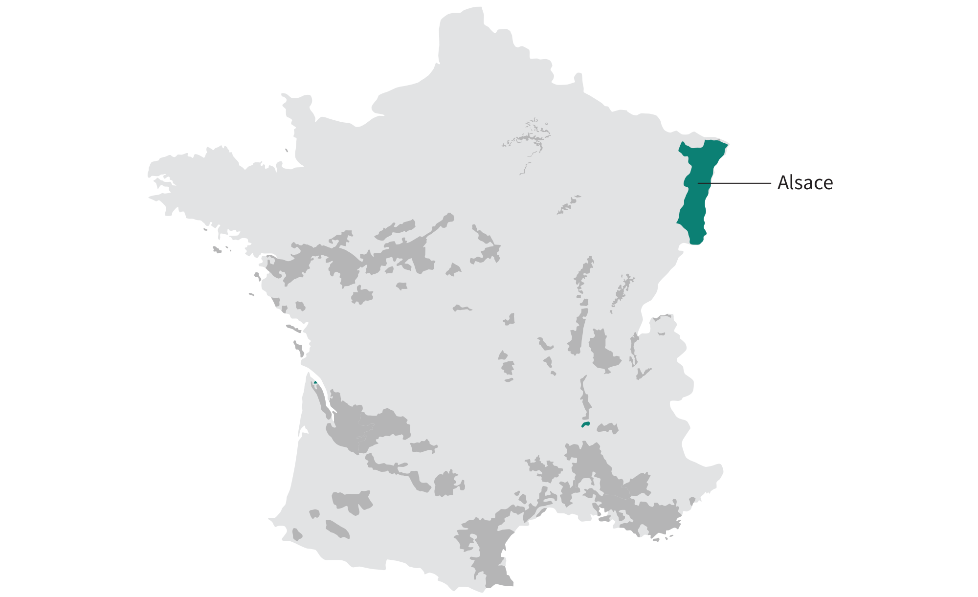 What is Riesling Wine? | Total Wine & More