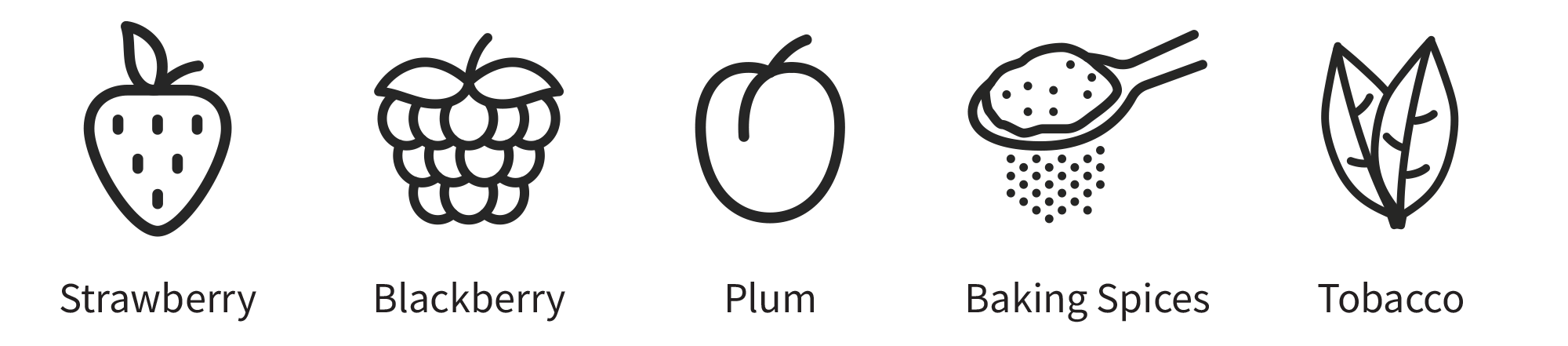 Primitivo Wine - Taste, Region and Pairing Guide | Total Wine & More