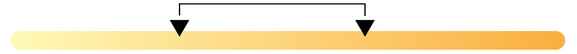 Chenin Blanc: Regions, Flavors, Pairings & More | Total Wine & More