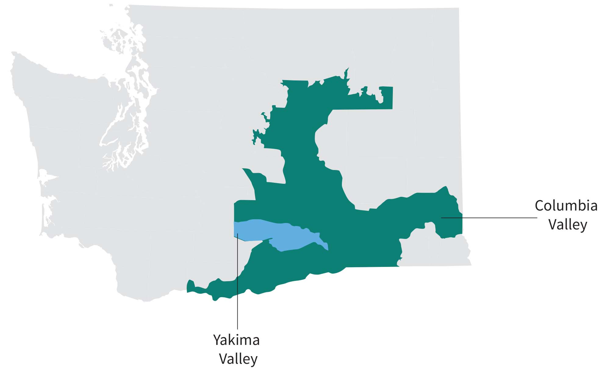 Viognier: Regions, Flavors, Pairings & More | Total Wine & More