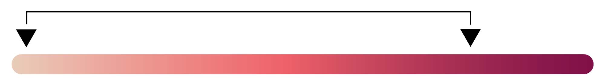 What is Port Wine? Types, Flavors, & More | Total Wine & More