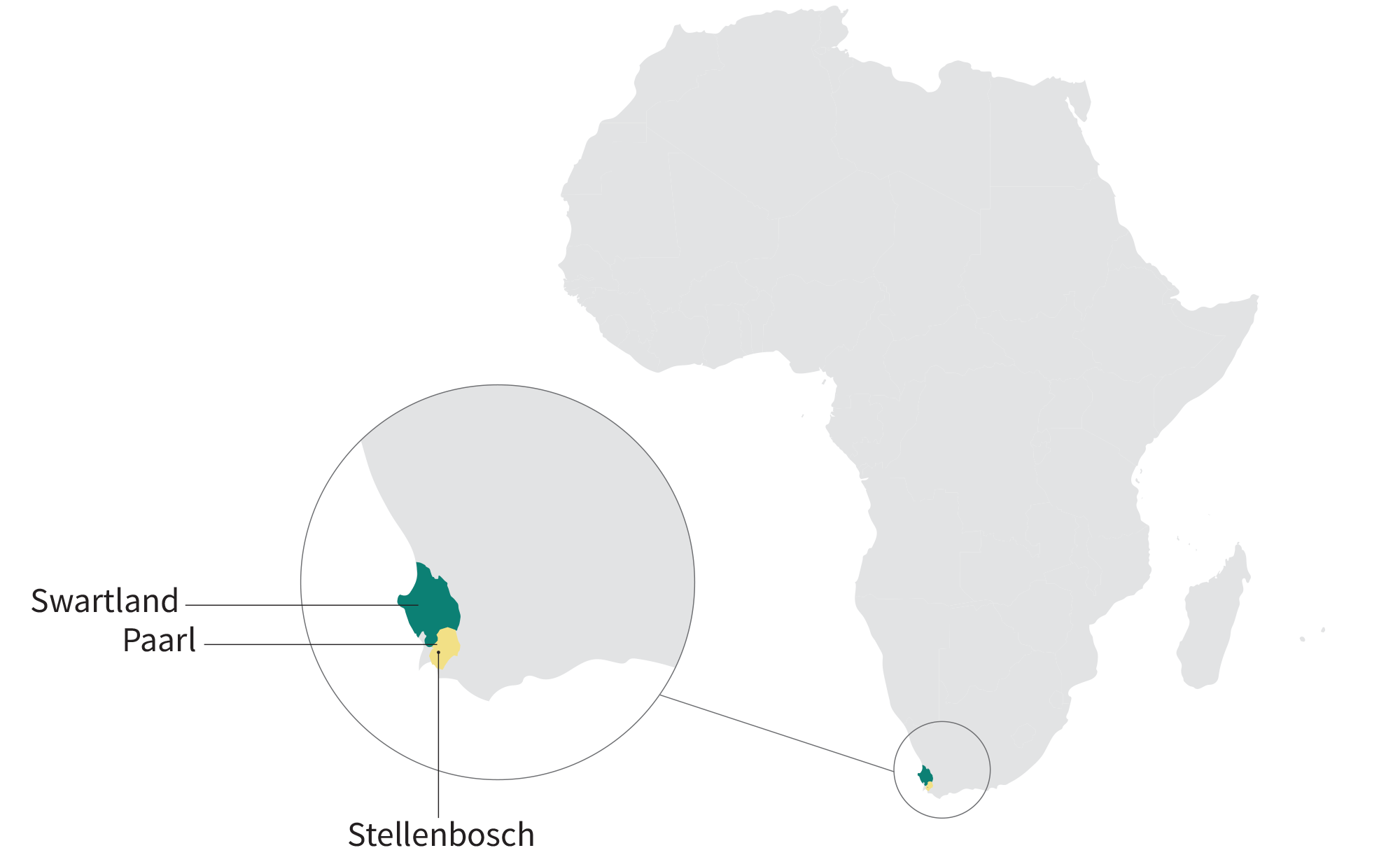 Viognier: Regions, Flavors, Pairings & More | Total Wine & More