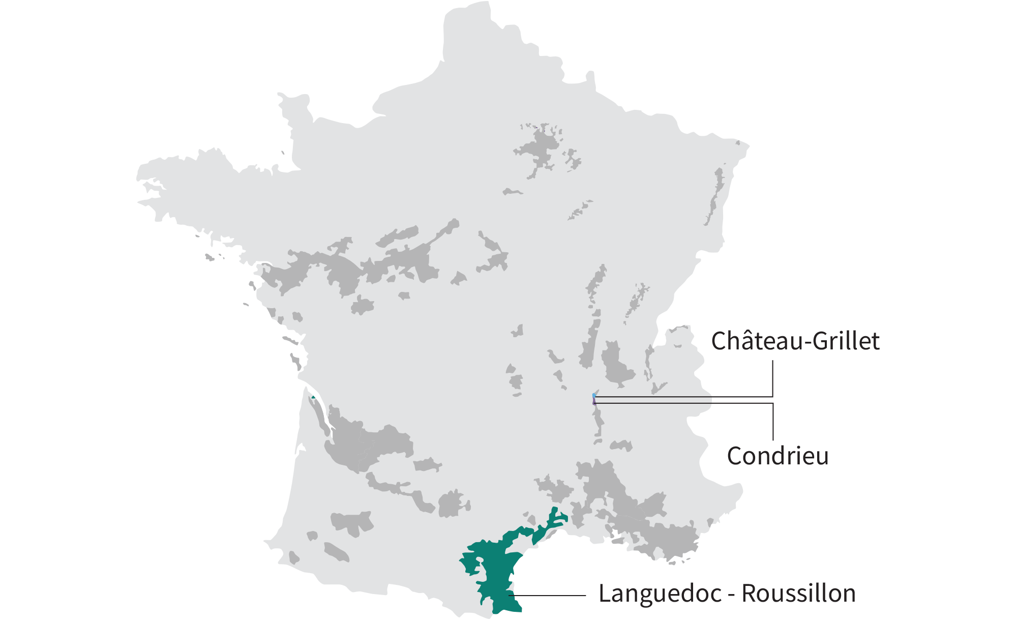 Viognier: Regions, Flavors, Pairings & More | Total Wine & More