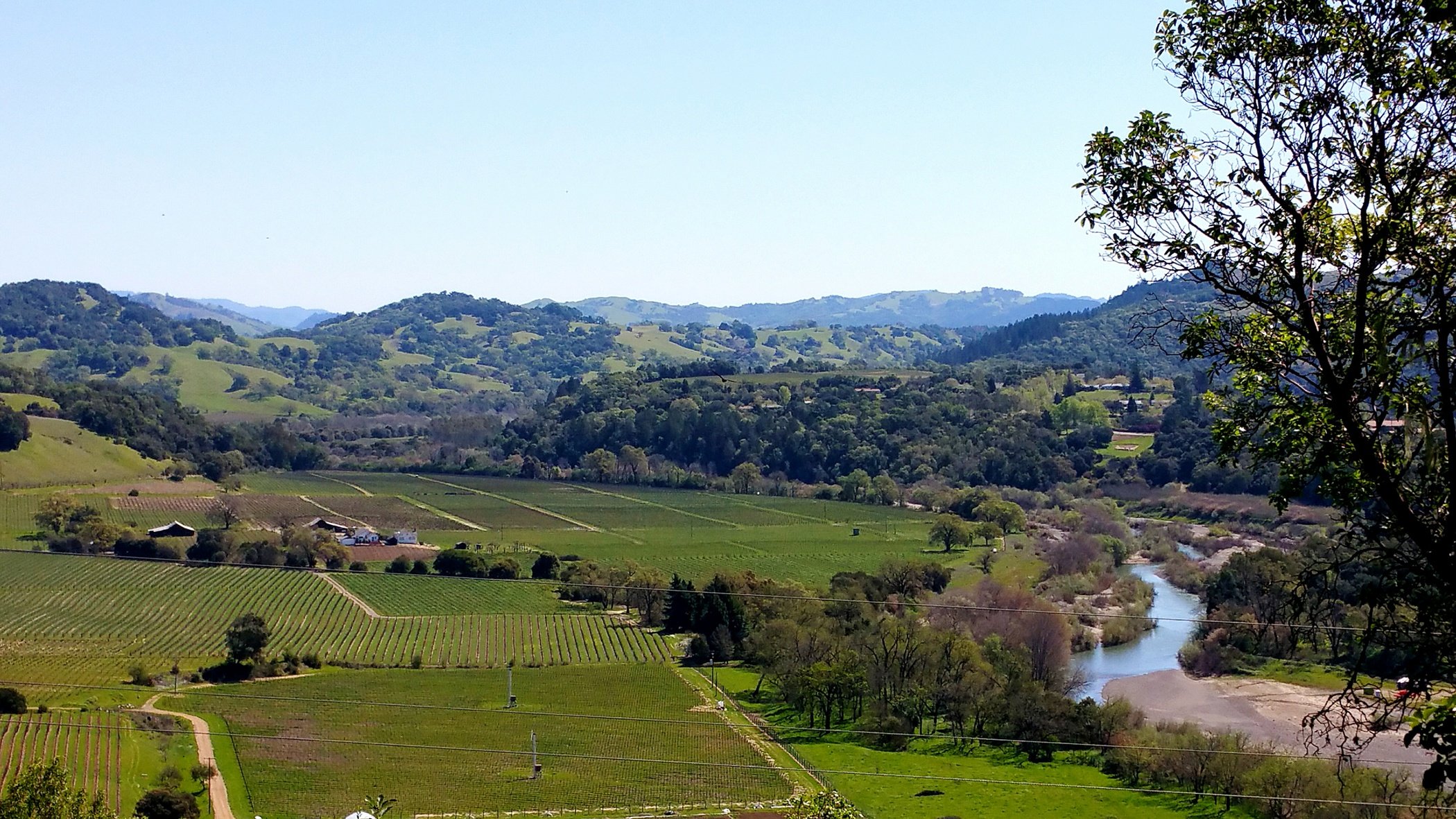 Russian River Valley | Total Wine & More