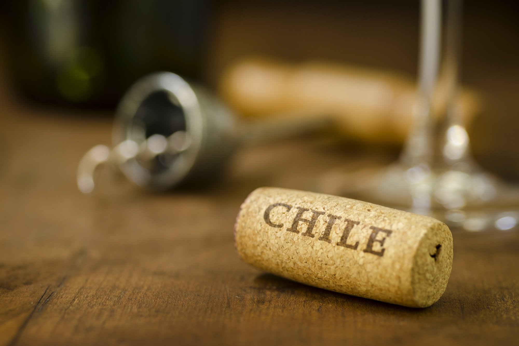 Learn About Chilean Wine | Total Wine & More