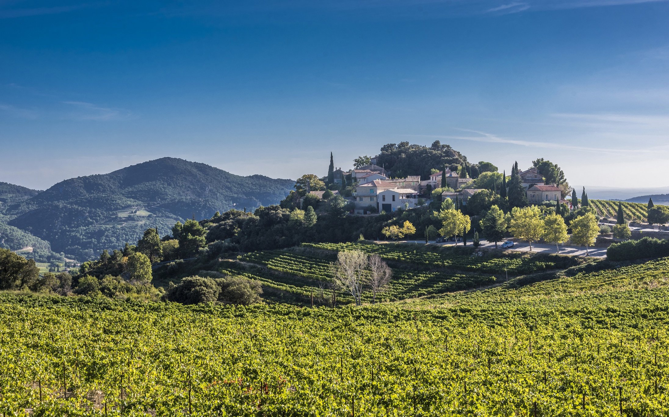 Provence Wine | Total Wine & More