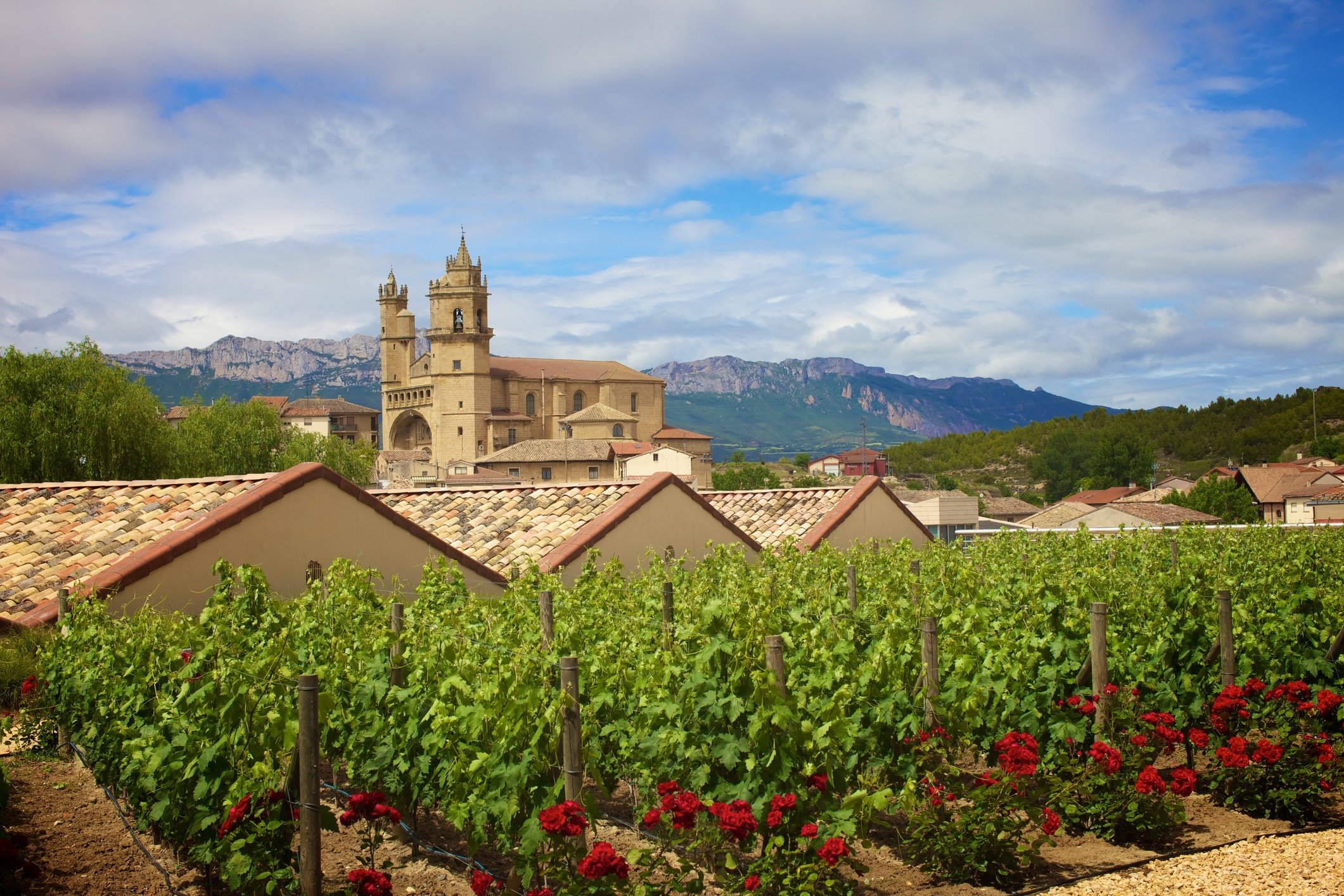 Northeast Spain Wine | Total Wine & More